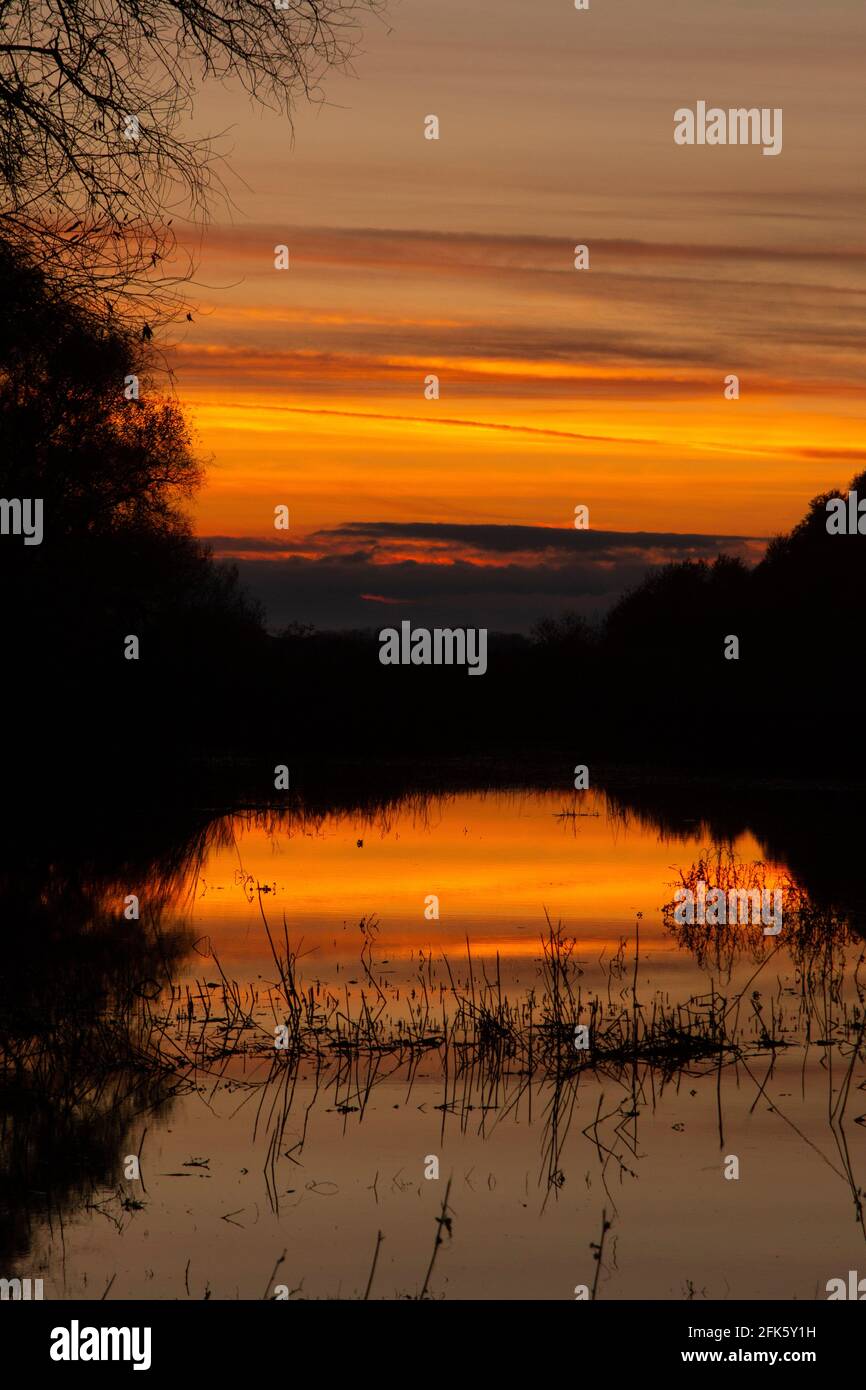 Riparian landscapes hi-res stock photography and images - Alamy