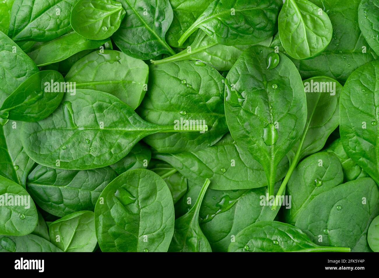 Fresh organic spinach background. Healthy eating Stock Photo - Alamy