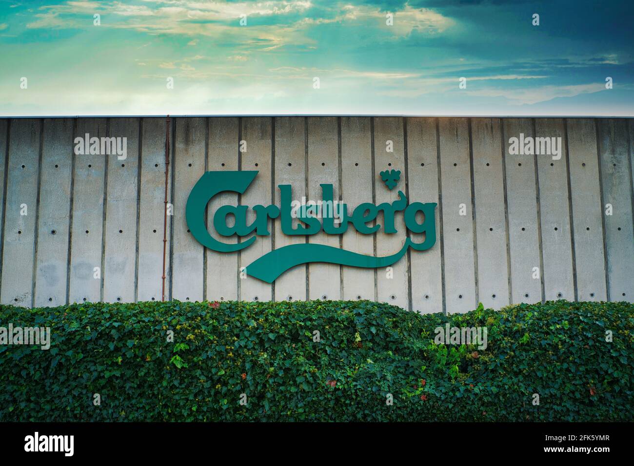 Wallpaper 1280x960 Carlsberg Logo Carlsberg Logo PNG Vectors Free