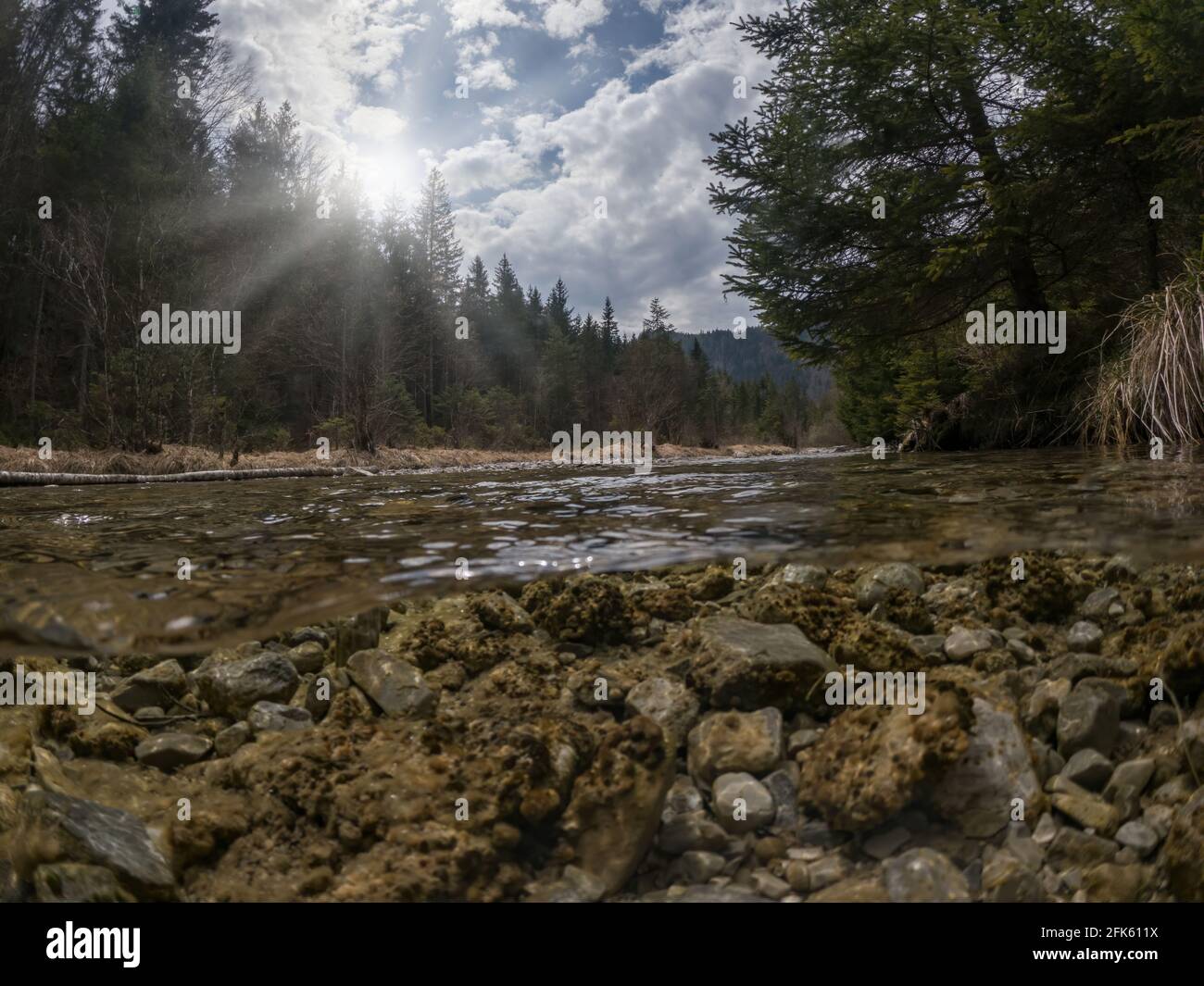 Clear mountain creek hi-res stock photography and images - Alamy