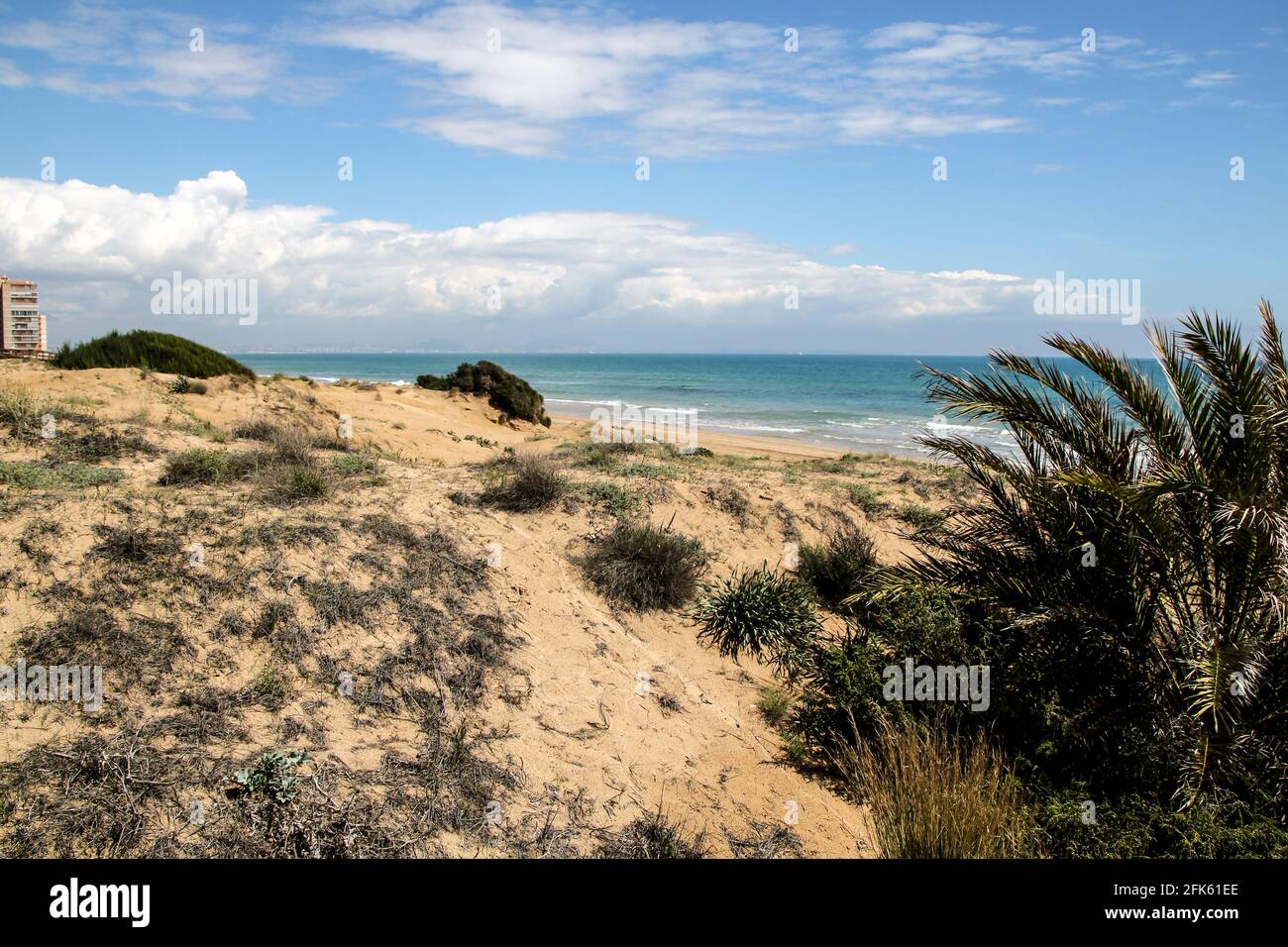 Beautiful landscape of dunes and vegetation in Arenales del Sol beach ...