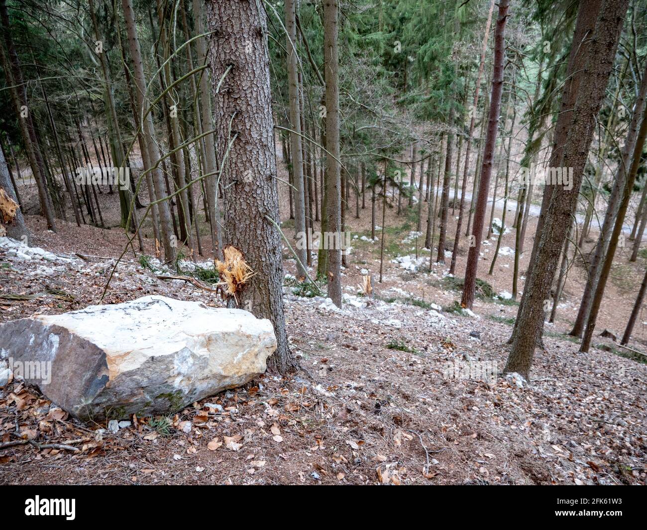 Boulders in bohemian forest hi-res stock photography and images - Alamy