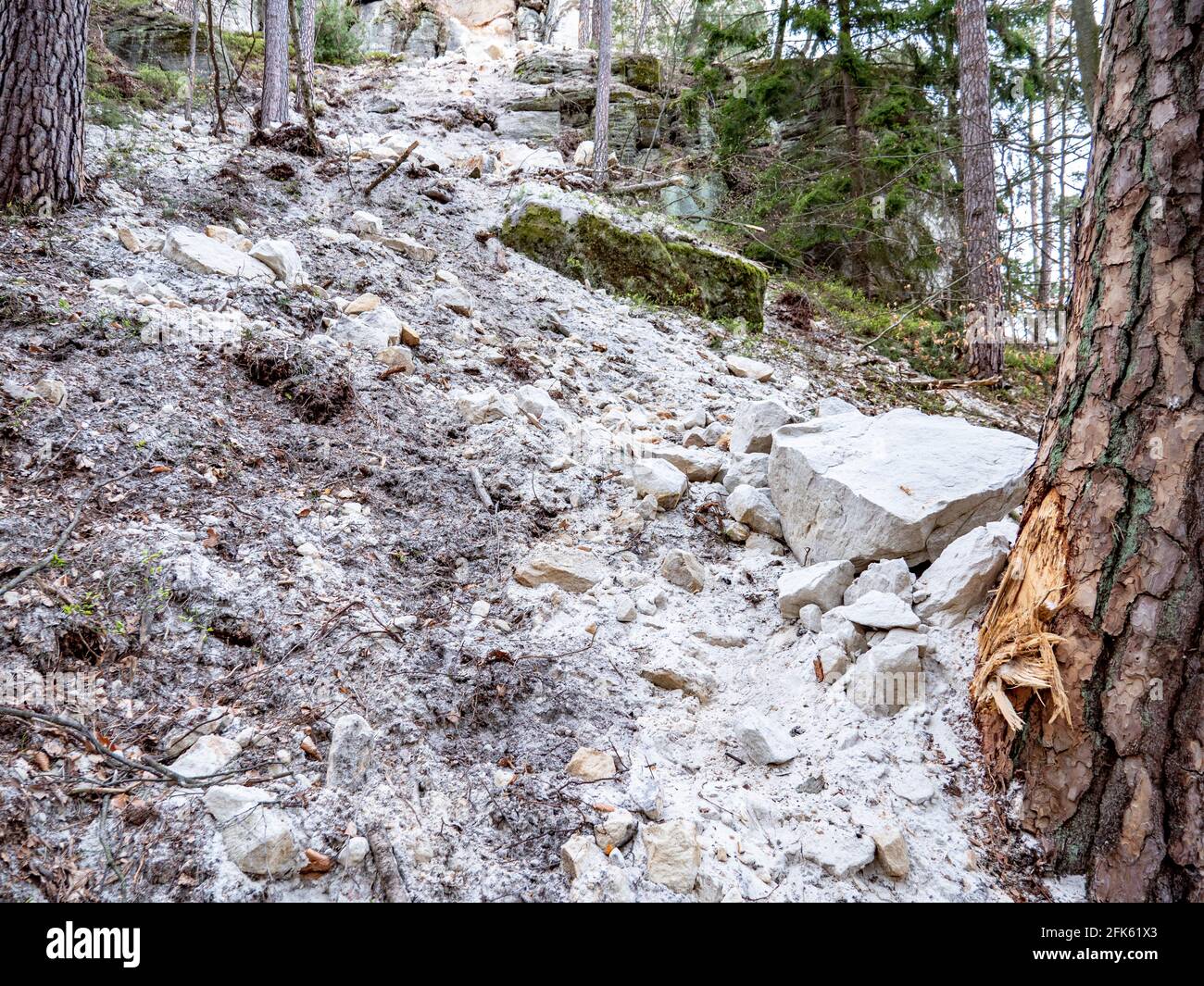 Vegetation growing from large boulders hi-res stock photography and ...
