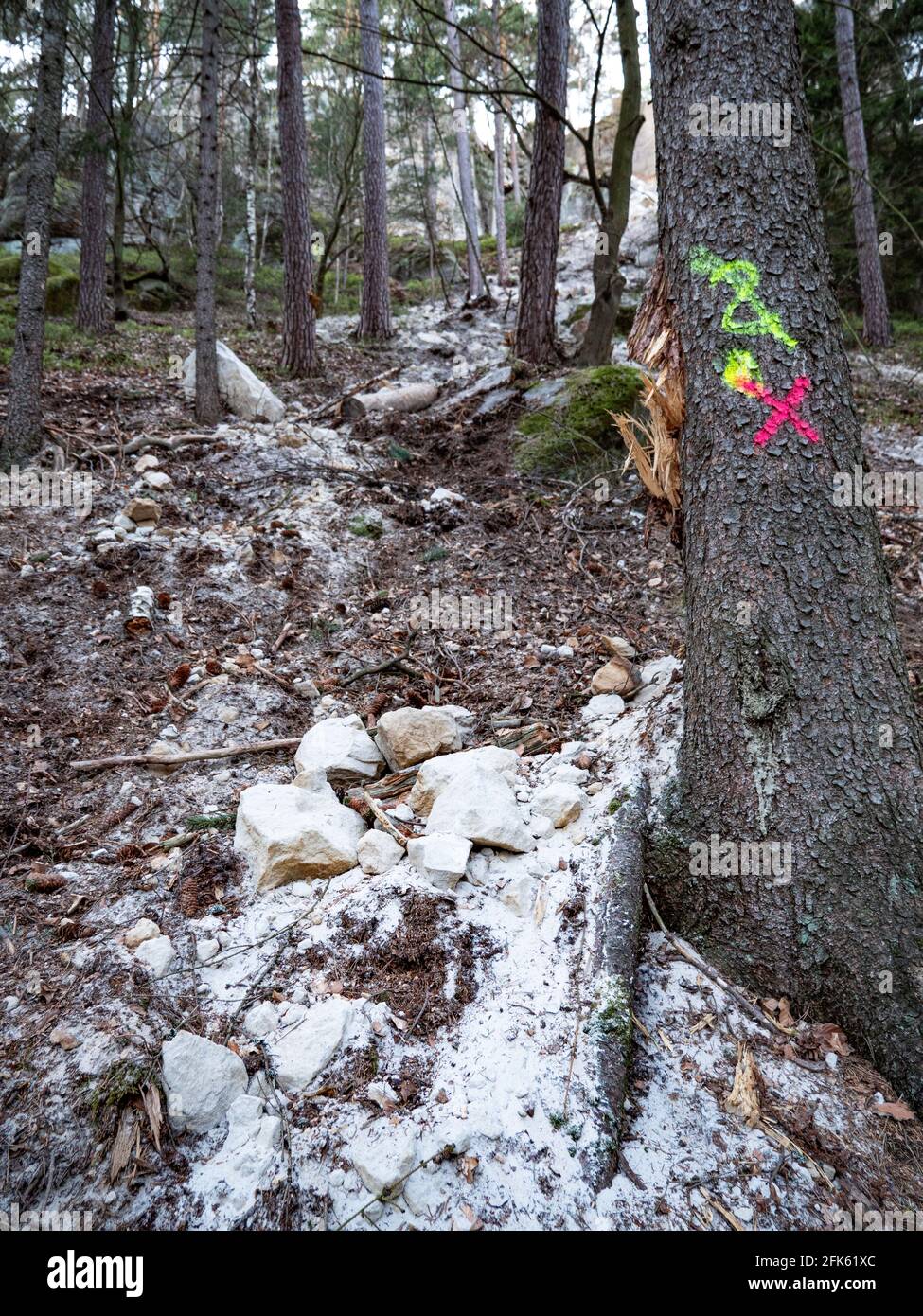 Danger marked tree hi-res stock photography and images - Alamy