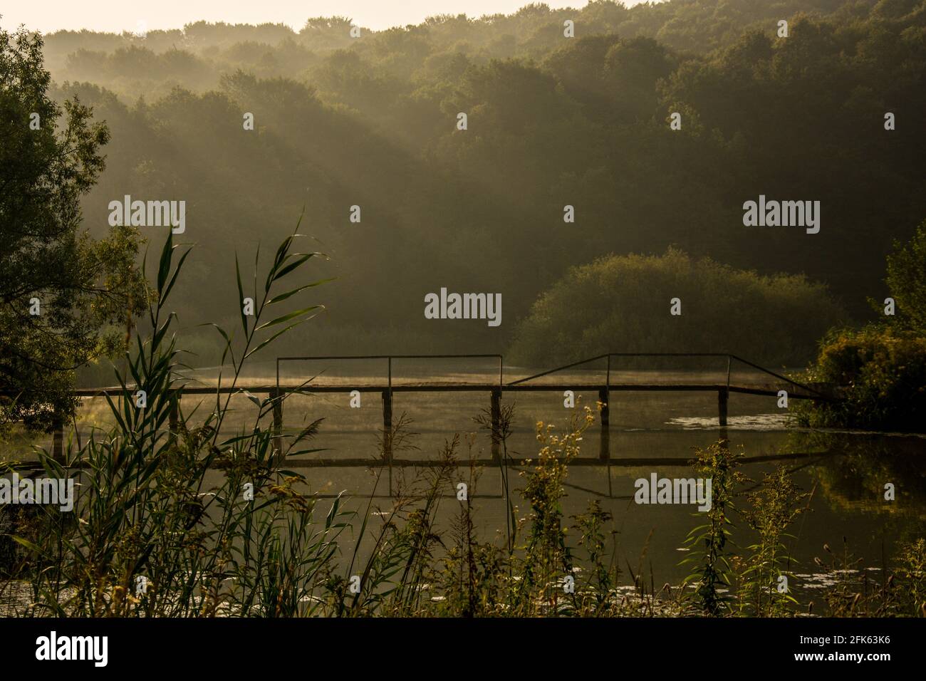 Landscape of a bridge over a lake surrounded by greenery under the ...