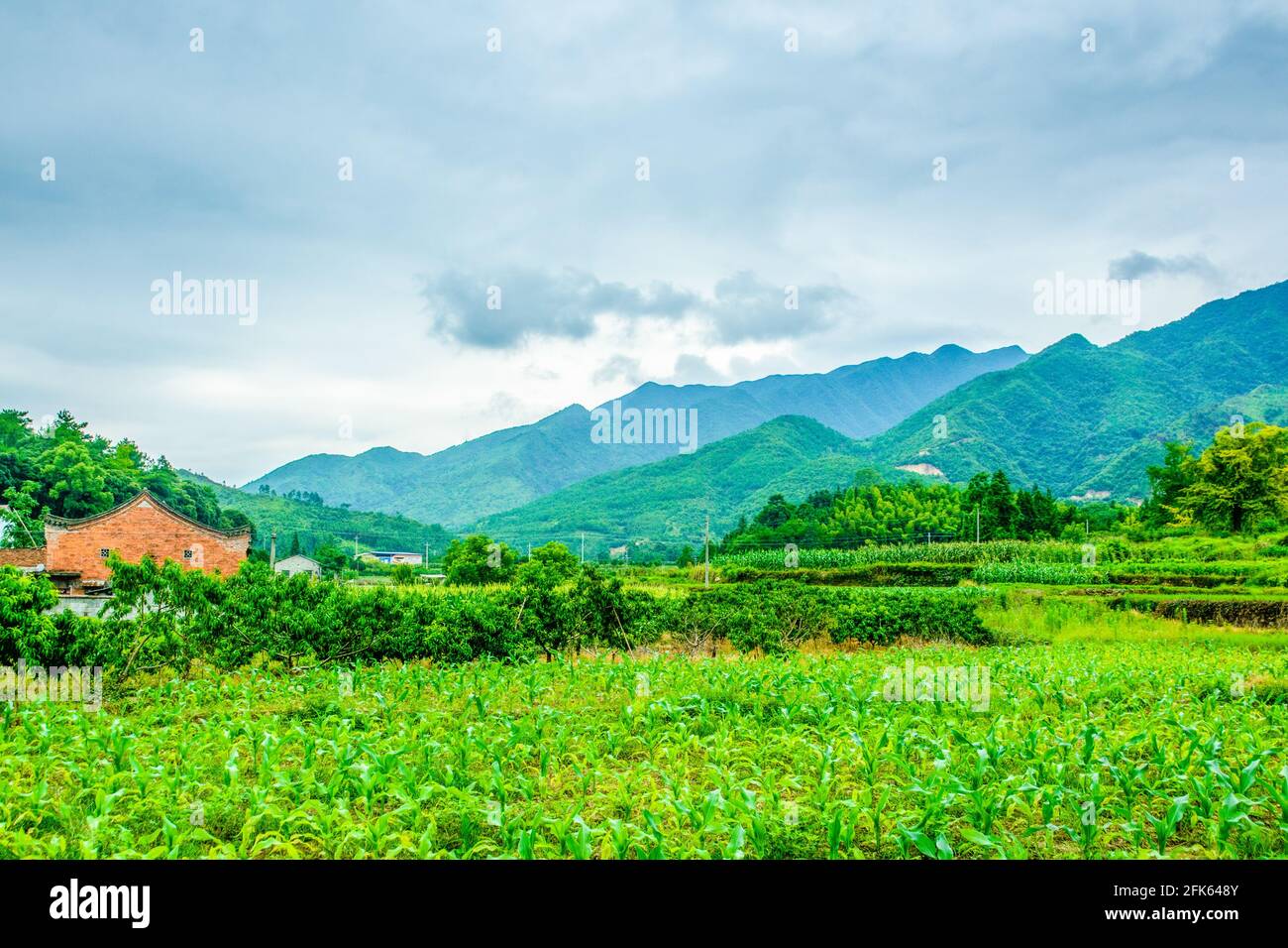 Countryside scenery in summer season Stock Photo - Alamy