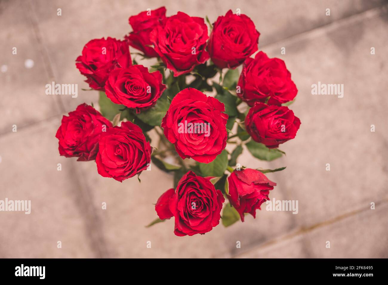 Dozen 12 red roses hi-res stock photography and images - Alamy