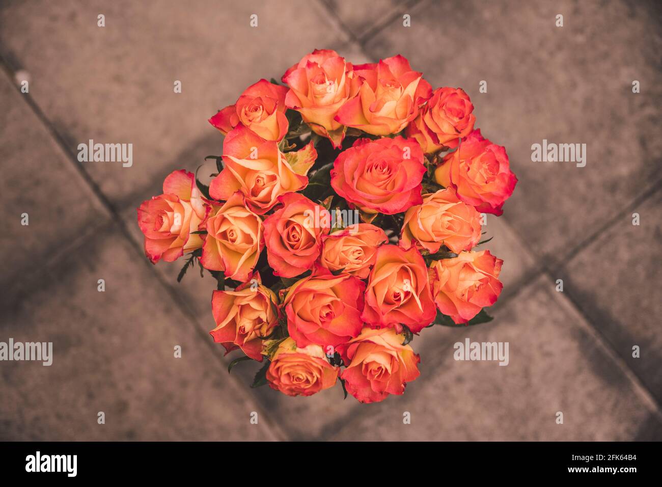 Dozen 12 red roses hi-res stock photography and images - Alamy