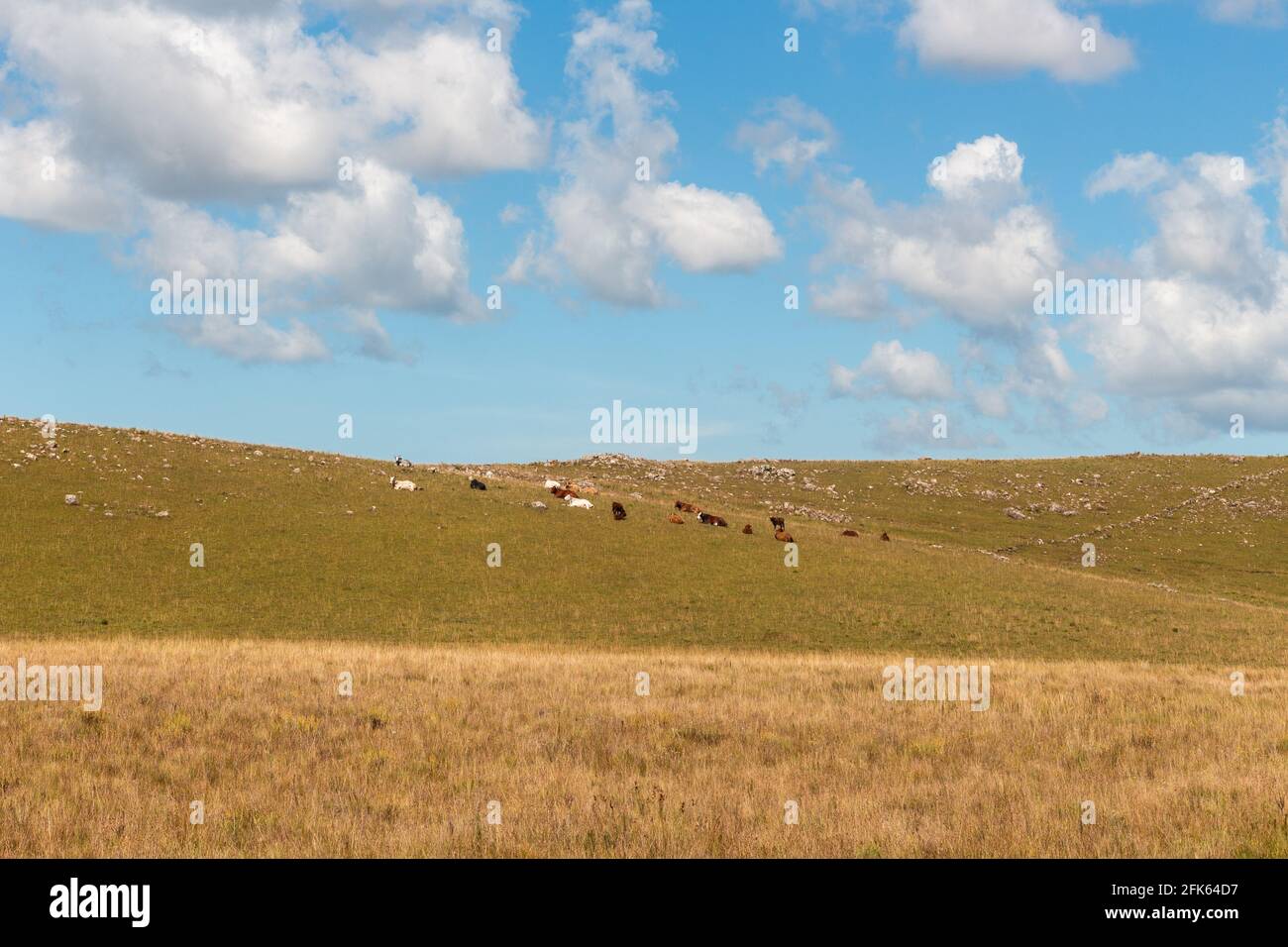 Rio grande southern hi-res stock photography and images - Alamy