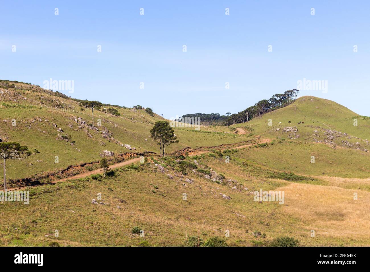 Brazil countryside hi-res stock photography and images - Alamy
