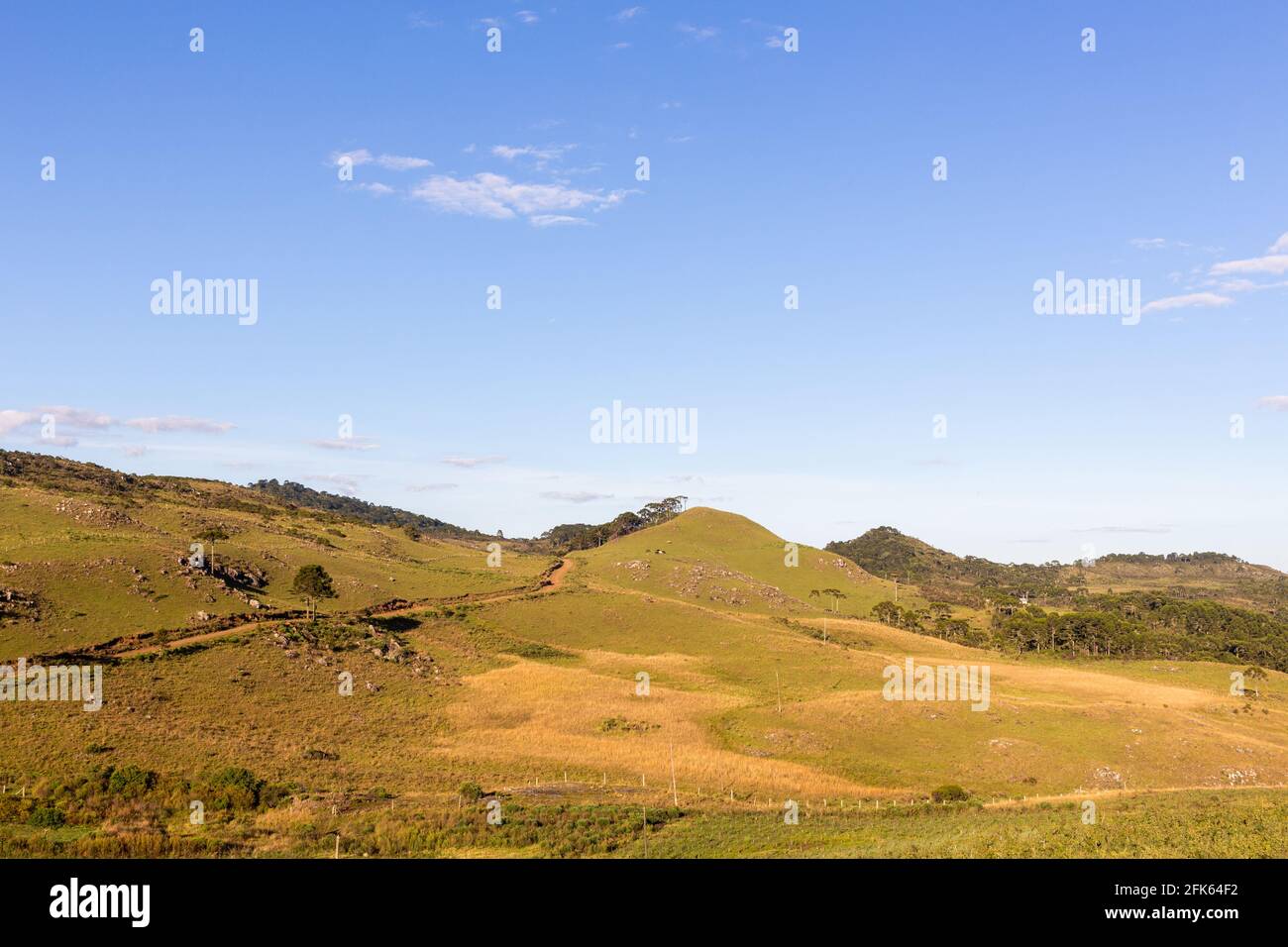 Countryside fields in southern Brazil Highlands Stock Photo - Alamy
