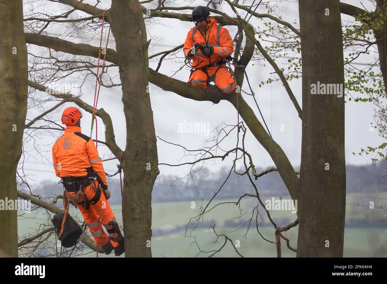 Hs2 ecologists hi-res stock photography and images - Alamy