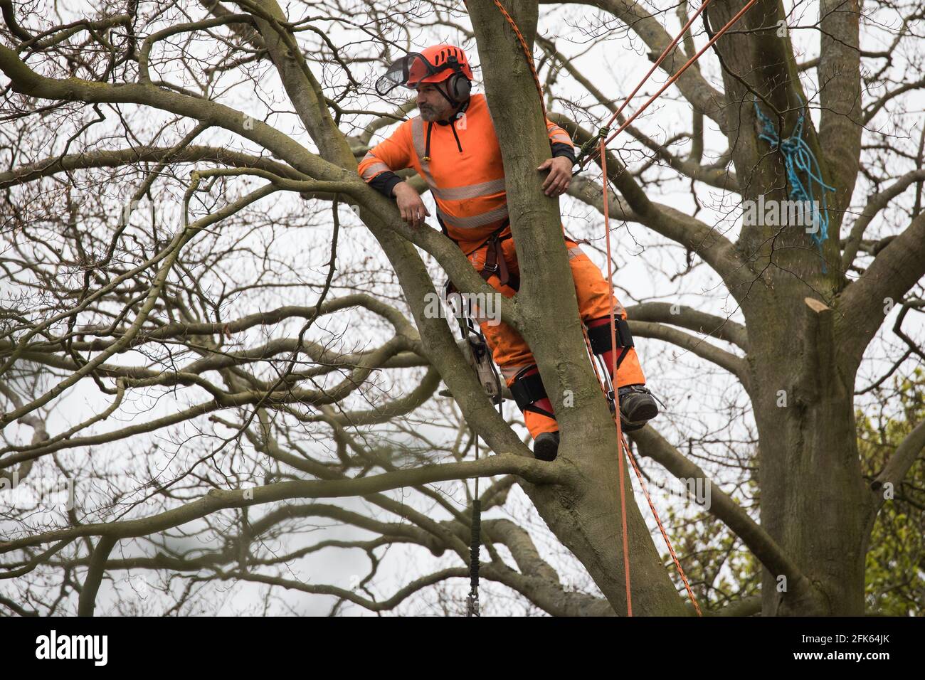 Hs2 review hi-res stock photography and images - Alamy