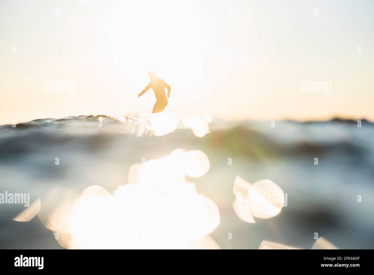 Backlit Man Surfing a wave during summer sunset Stock Photo - Alamy