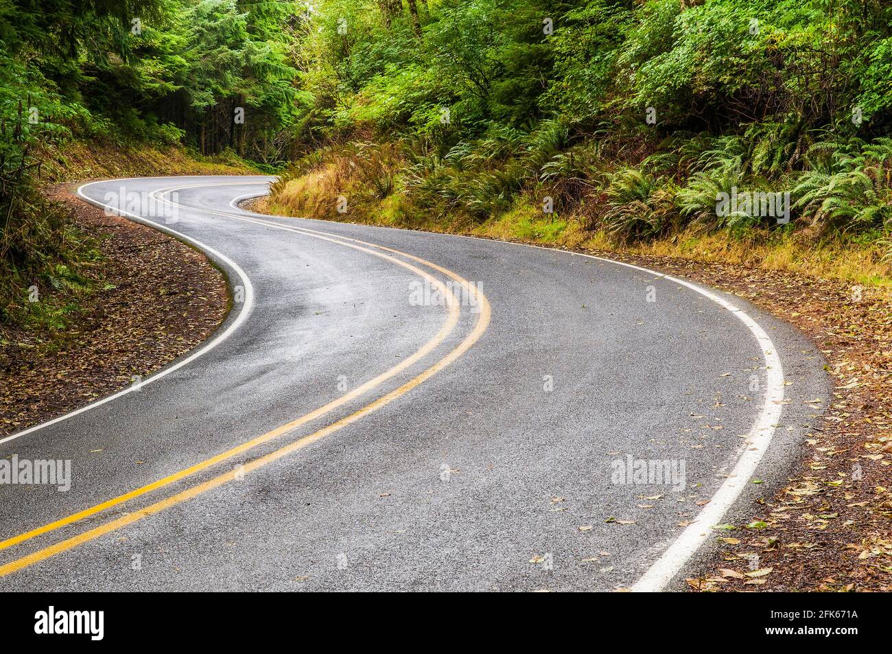 Paved winding road oregon usa hi-res stock photography and images - Alamy