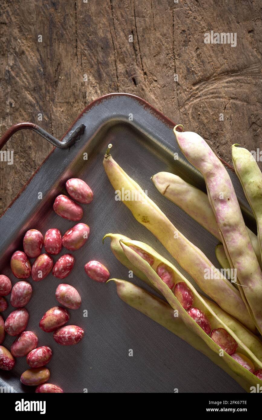 Top view of bean pods being peeled and emptied into a metal tray on a ...