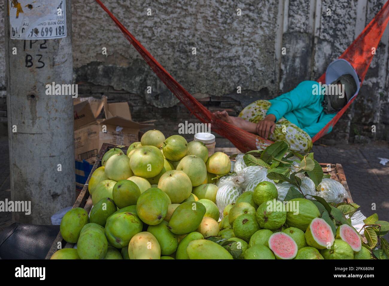 Vietnamese fruit stall selling green mango, guava asleep in hammock ...