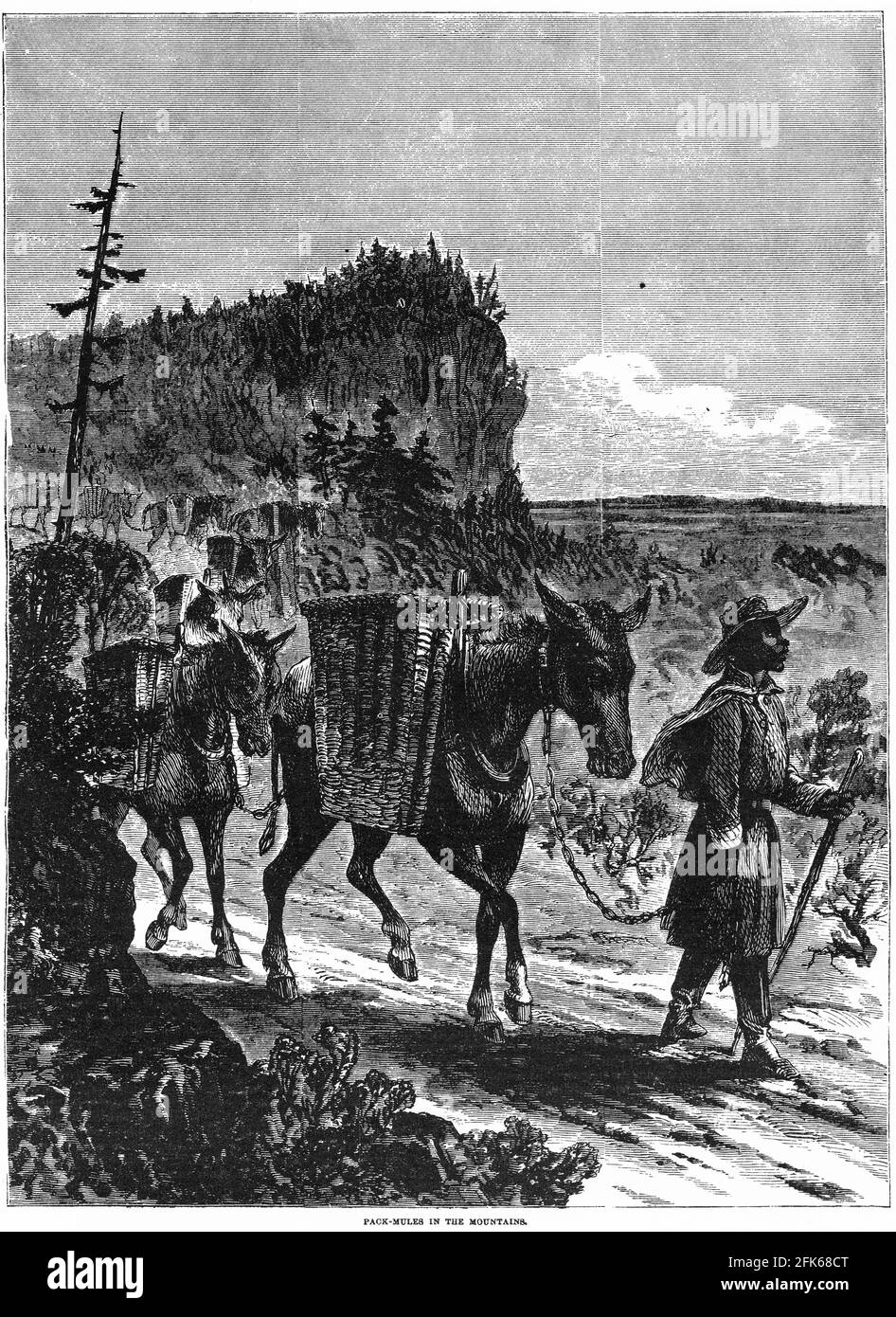 Engraving of porters carrying army supplies by mule train during the ...