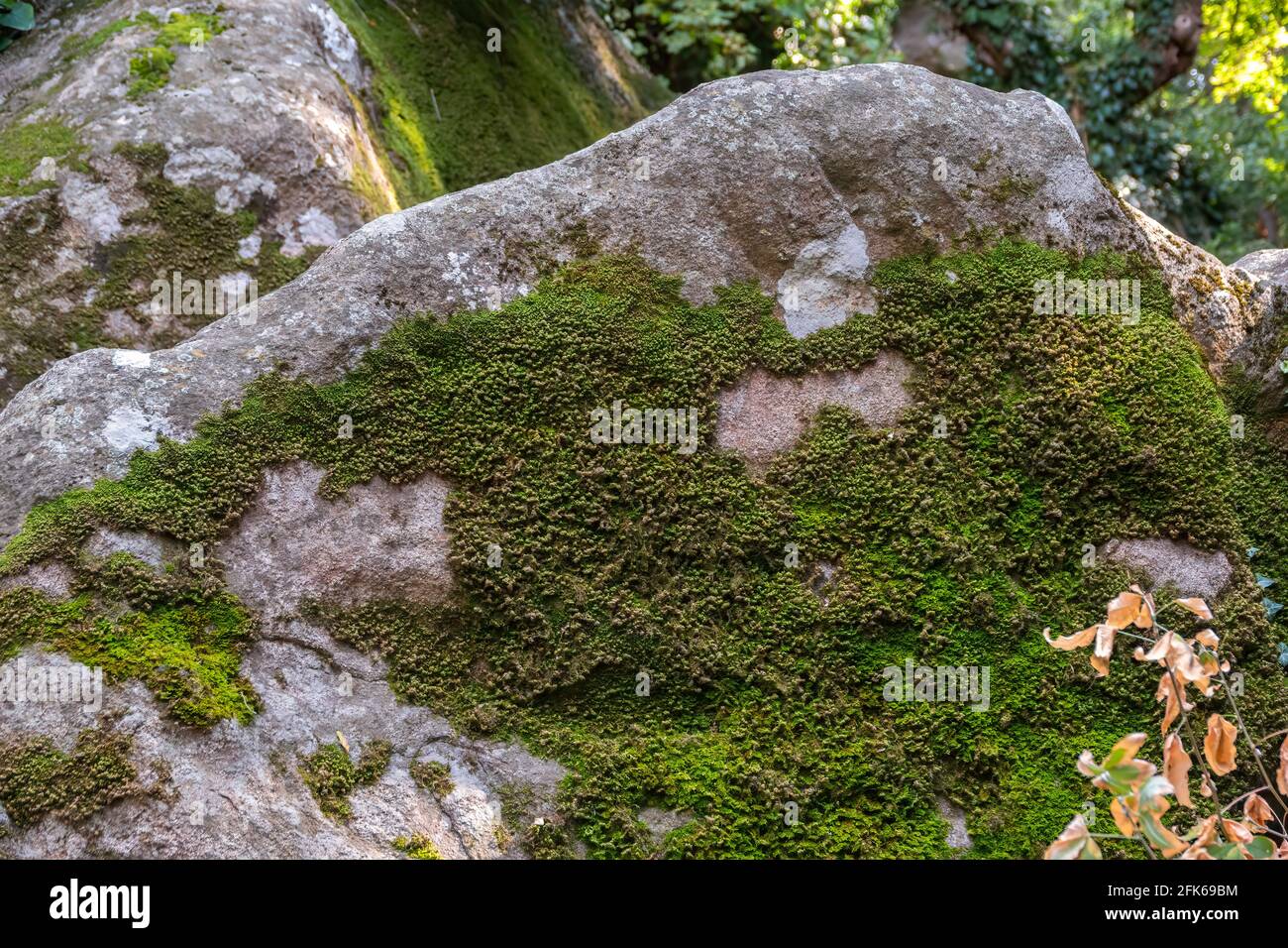 Big Stone cliff overgrown with green moss. The texture of stone rocks ...