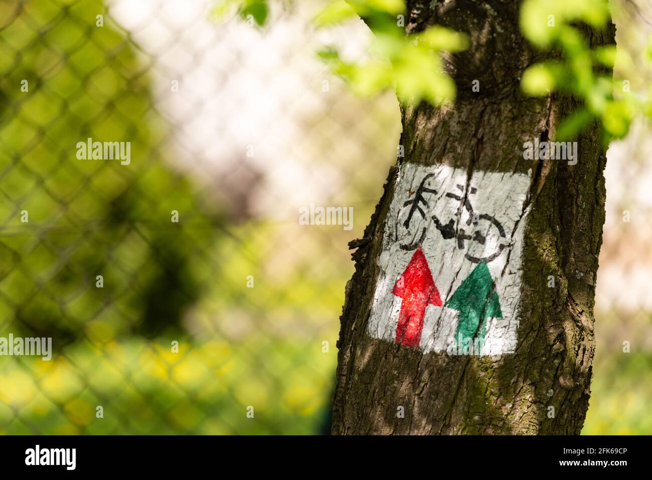 Bike Trail sign. A white sign on a tree showing the direction of travel ...