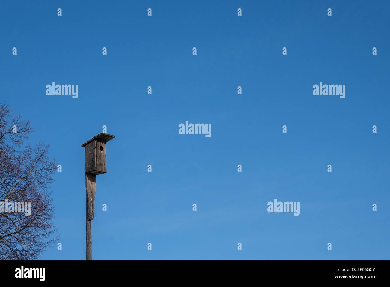 Tall nest box hi-res stock photography and images - Alamy