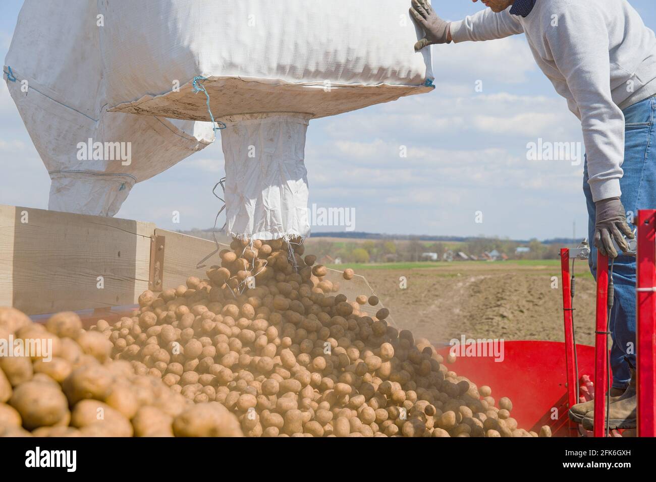 Farmers planting potato field hi-res stock photography and images - Alamy
