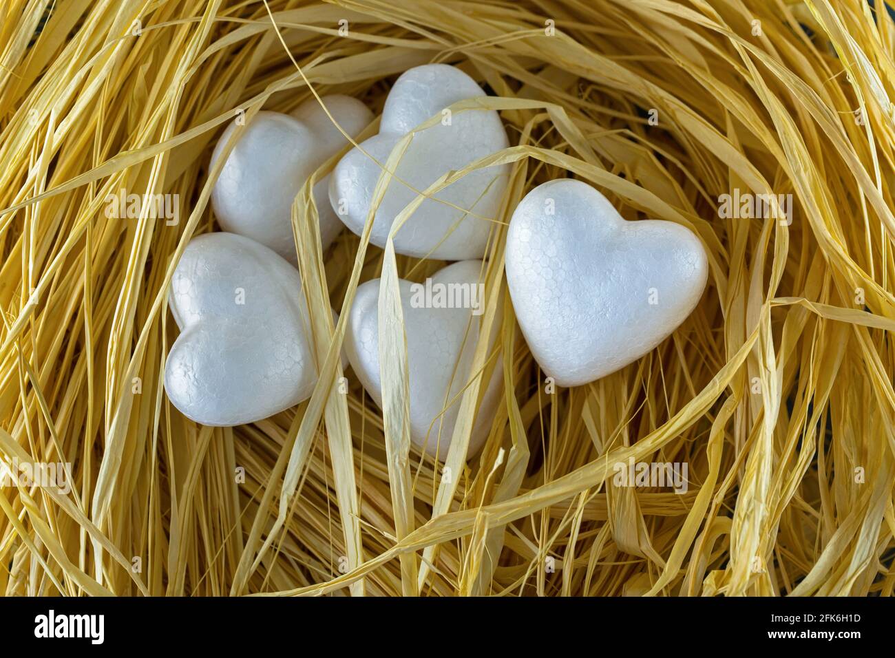 Group of 5 heart shaped white hearts in a bird nest, top view ...