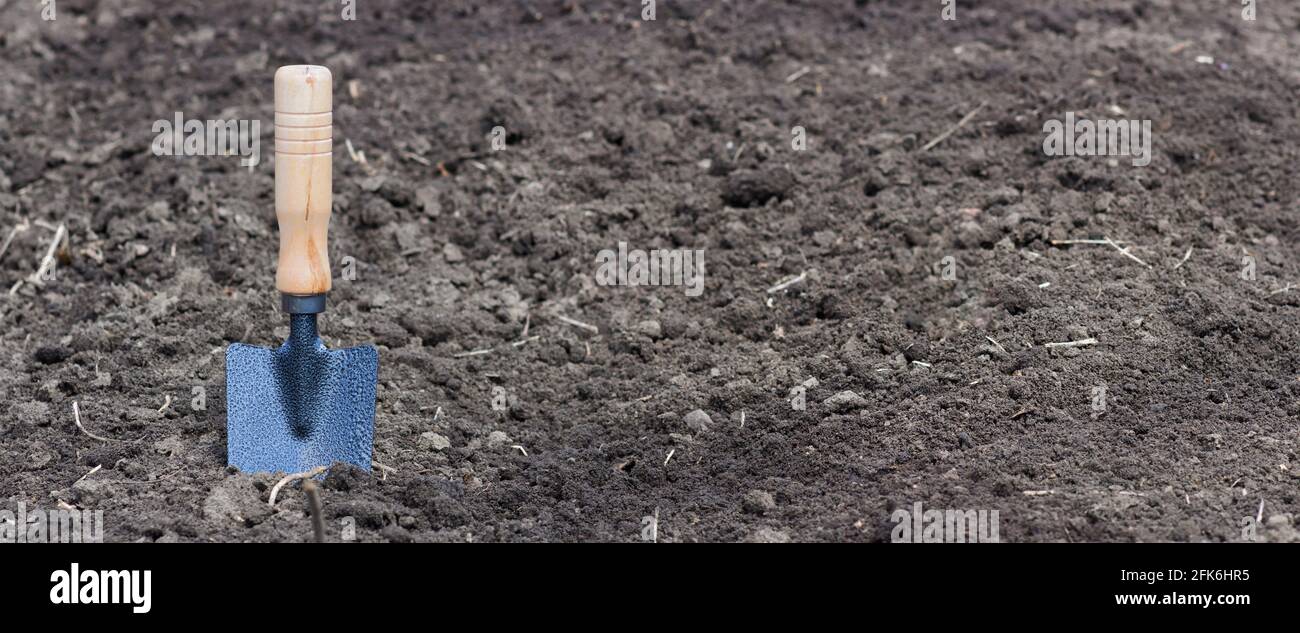Hand shovel for the garden in the gunt. Garden tools Stock Photo - Alamy