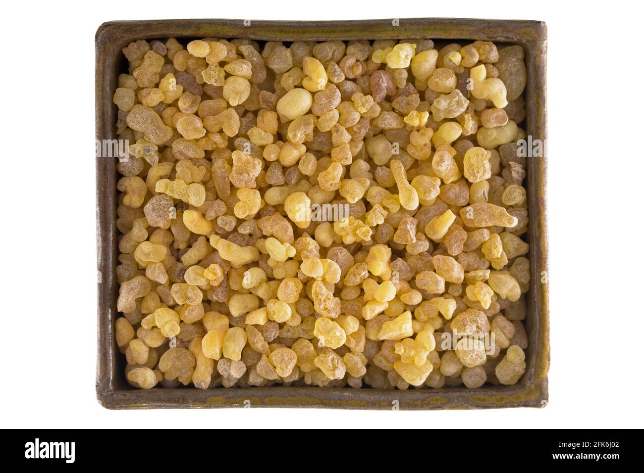 Frankincense tree Cut Out Stock Images & Pictures - Alamy