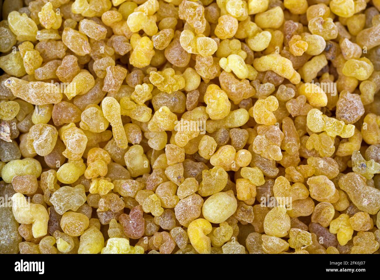 Frankincense tree hi-res stock photography and images - Alamy