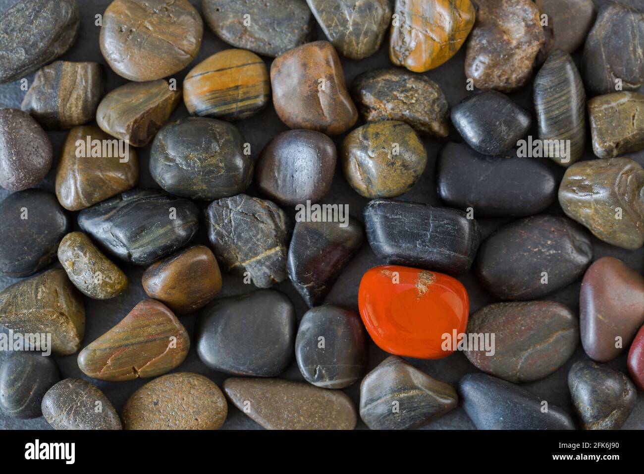 Obvious color hi-res stock photography and images - Alamy