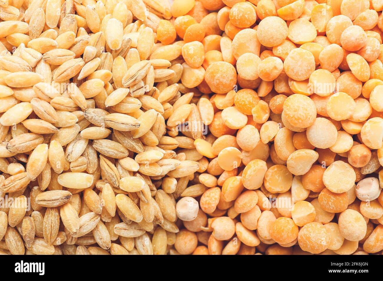 Pearled Barley Groats High Resolution Stock Photography and Images - Alamy