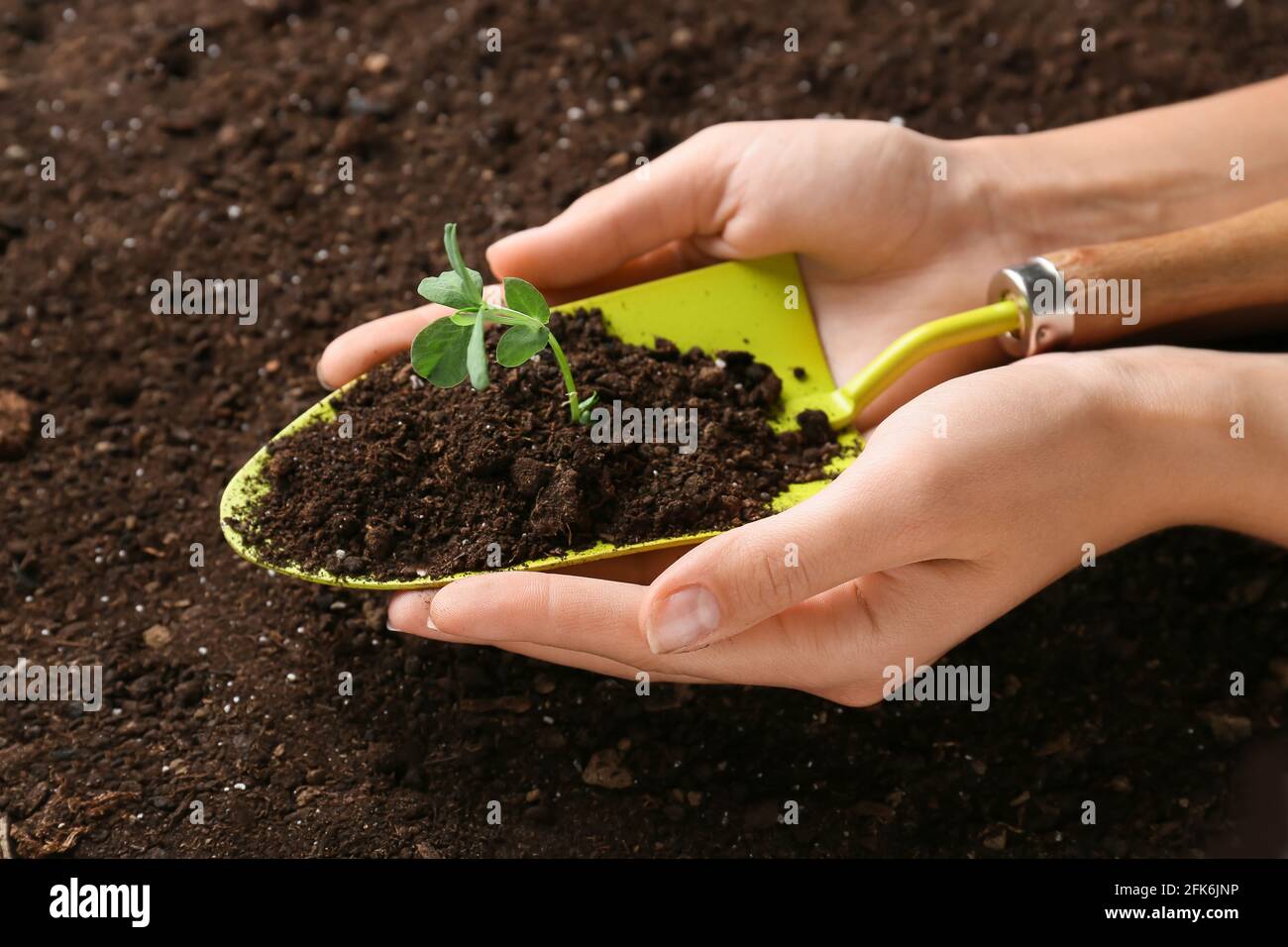 Farmer holding gardening shovel with young plant and heap of soil ...