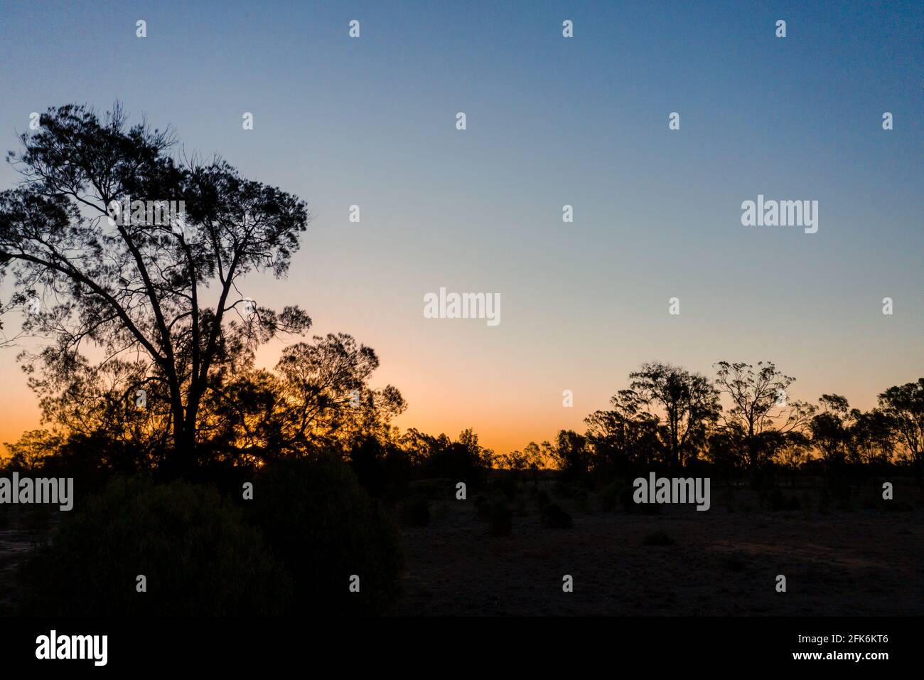 Gum tree sunset outback hi-res stock photography and images - Alamy