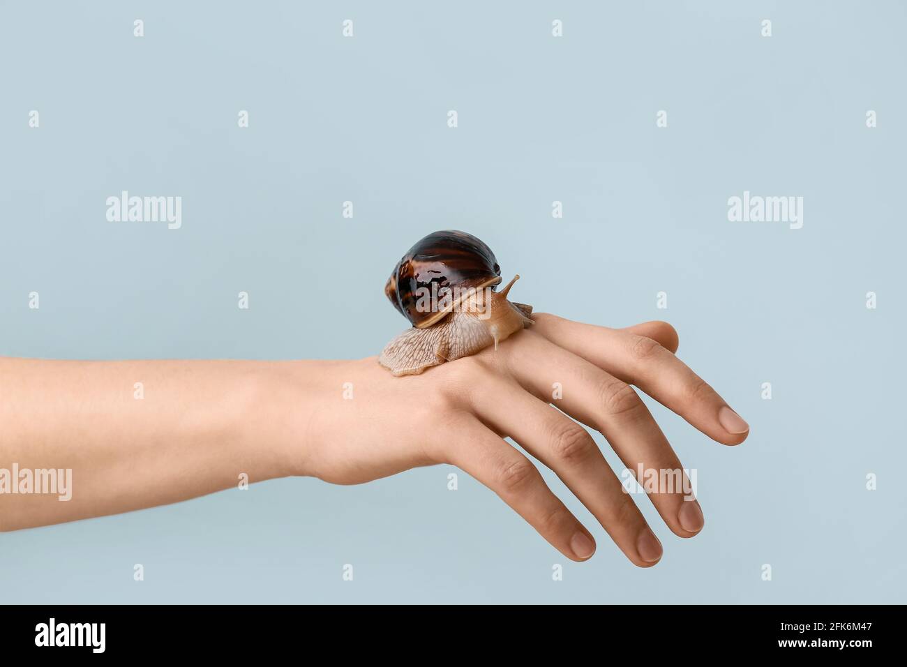 Hand with snail on light background Stock Photo - Alamy