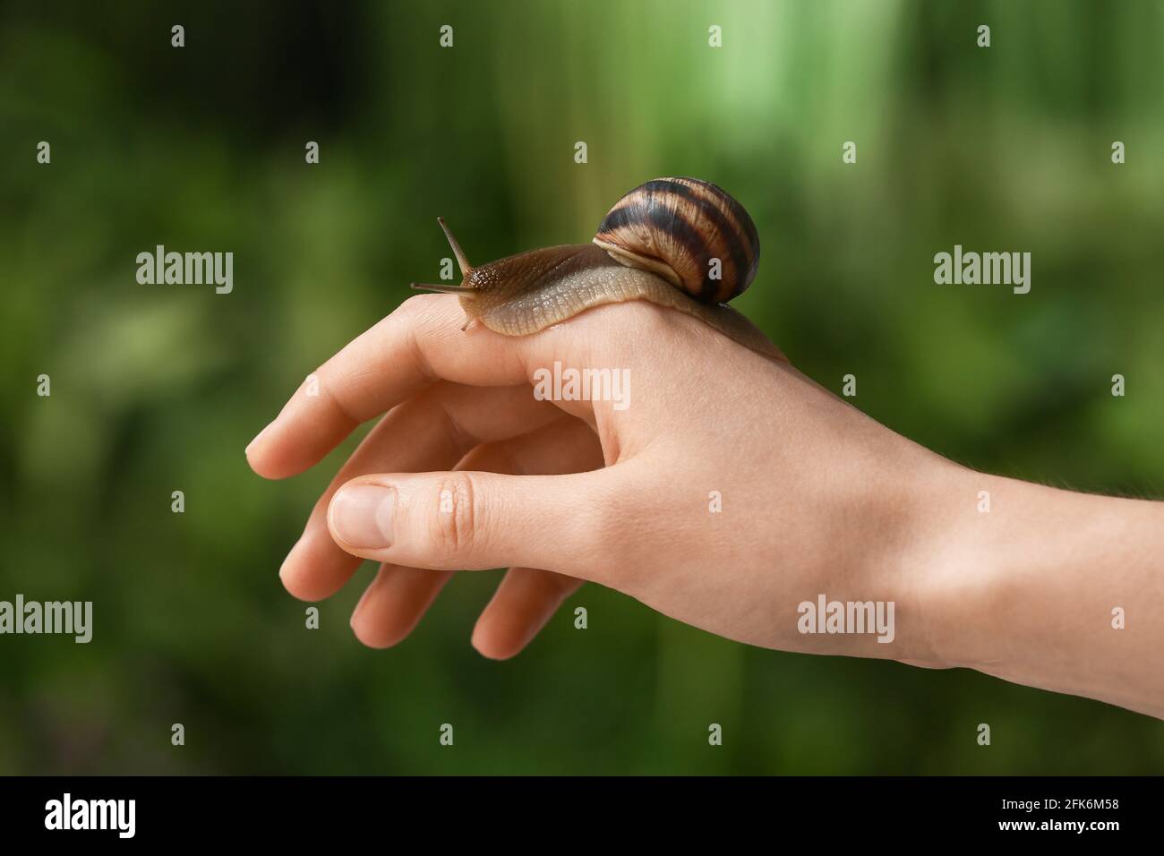 Hand with snail on blurred background Stock Photo - Alamy