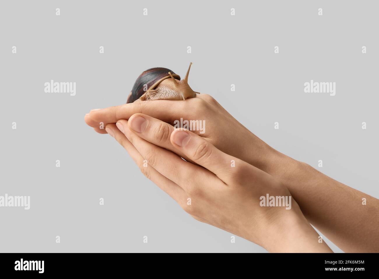 Hands with snail hi-res stock photography and images - Alamy