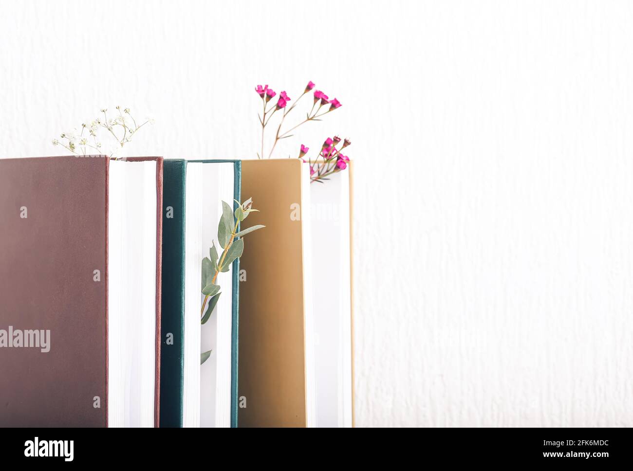 Books with fresh flowers on white background Stock Photo - Alamy