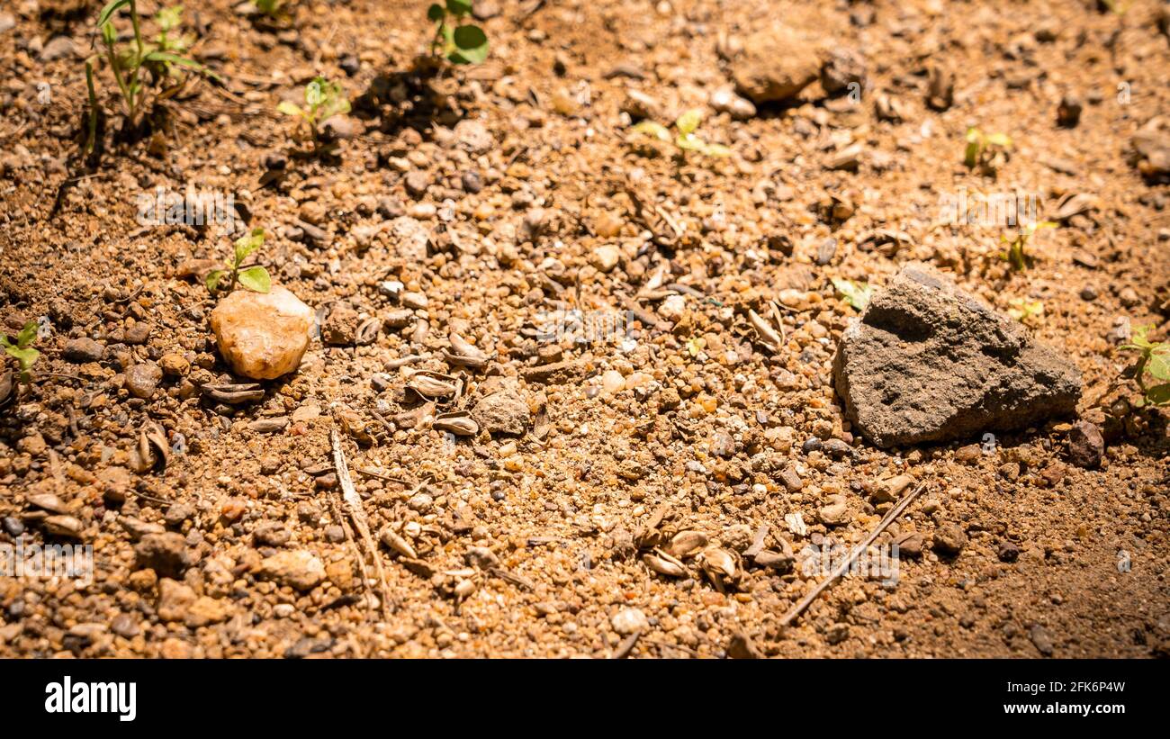 Selective focus of natural soil background with sand, stones of ...