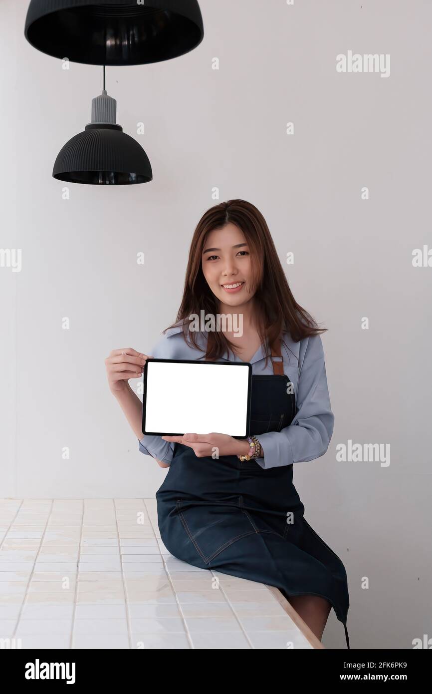 Blogger or Vlogger checking the content before uploading on website ...