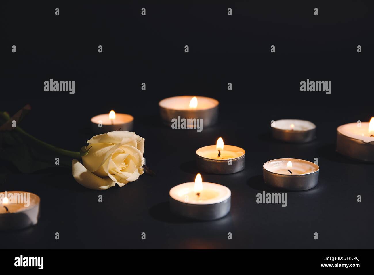 White rose and burning candles on dark background Stock Photo - Alamy