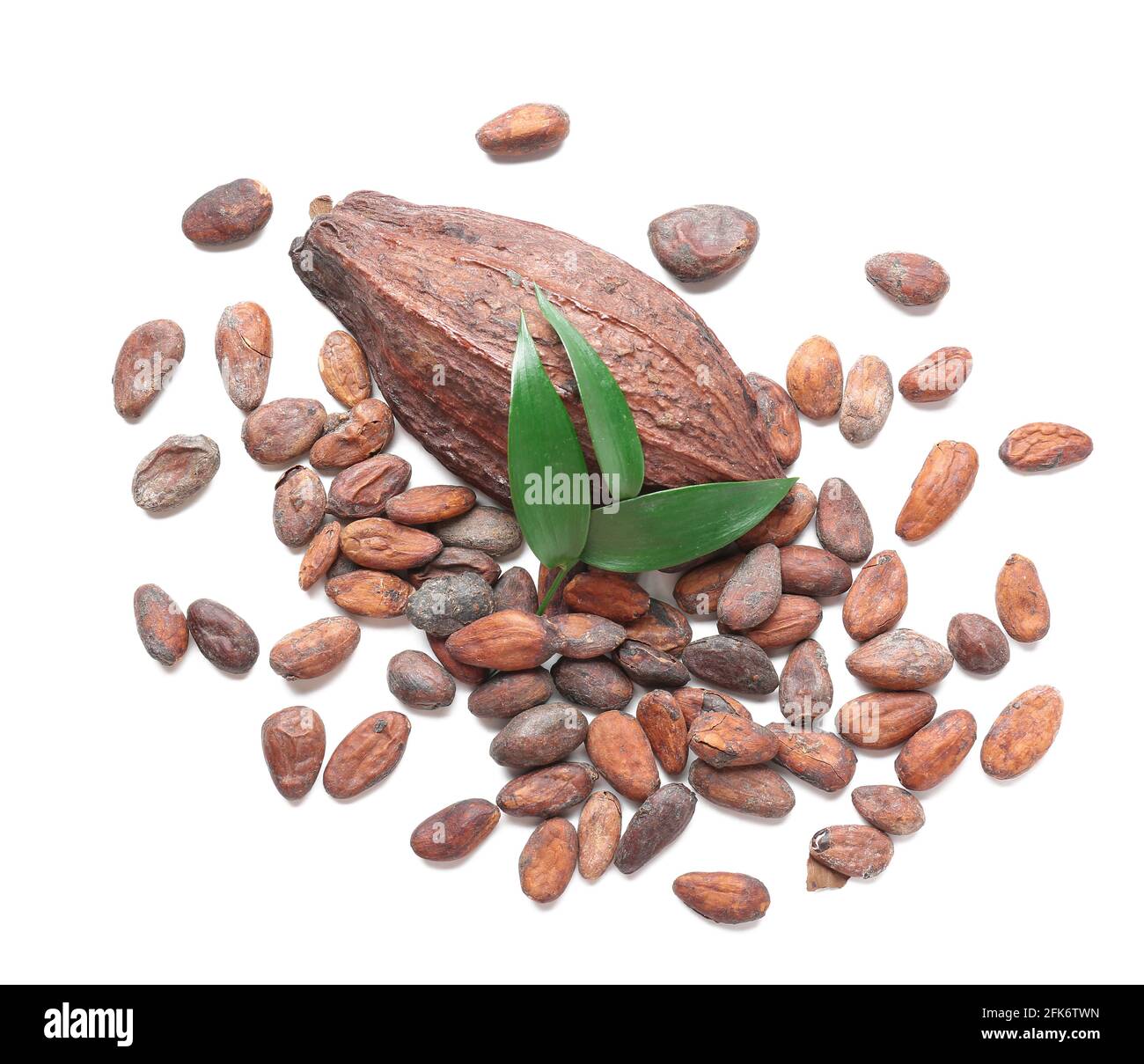 Cocoa beans on white background Stock Photo - Alamy