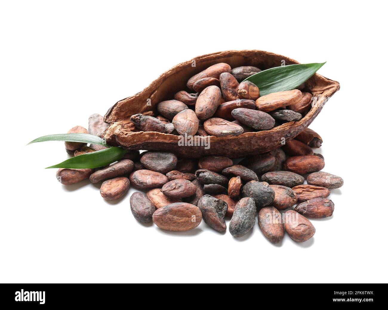 Cocoa beans on white background Stock Photo - Alamy