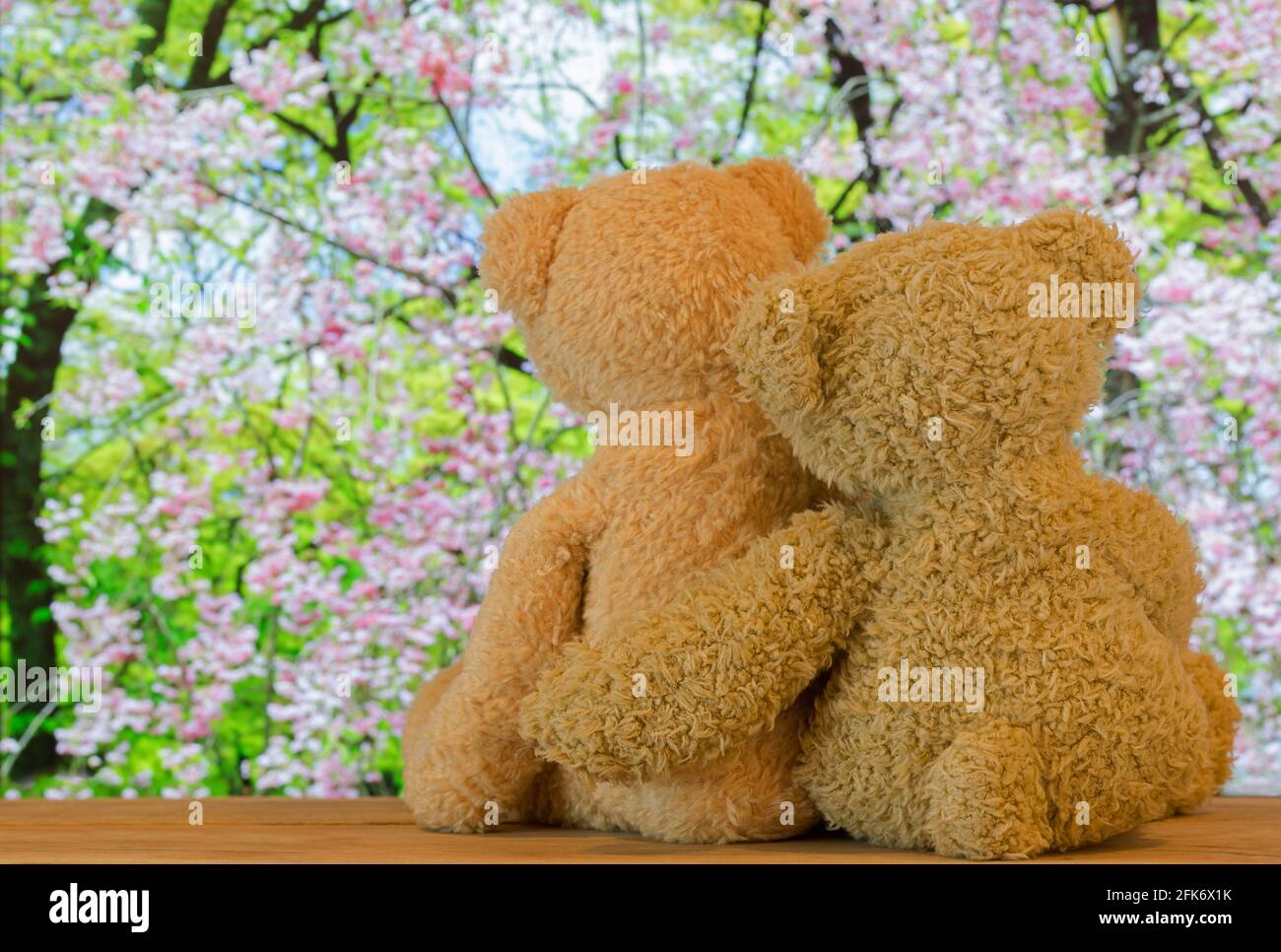 Two bears hugging hi-res stock photography and images - Alamy
