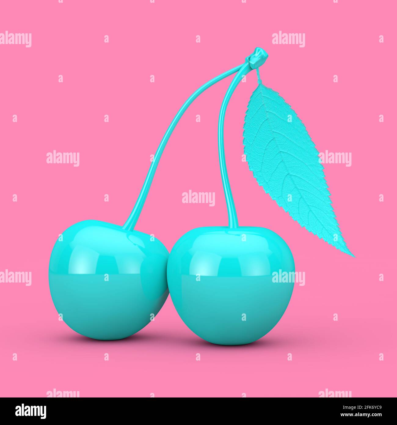 Fresh Blue Cherry Fruit with Leaf in Duotone Style on a pink background ...