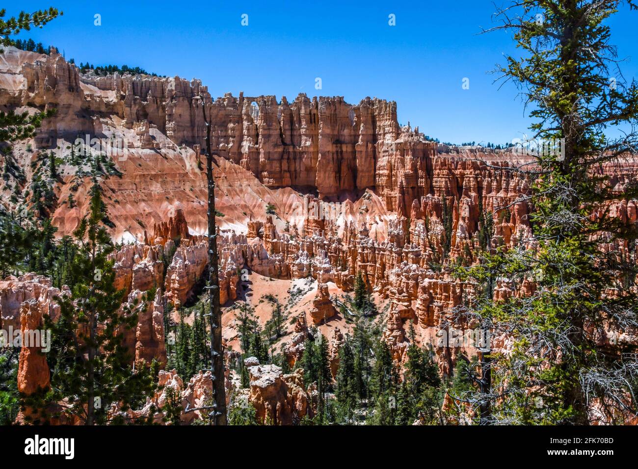 A natural rock formation of Red Rocks Hoodoos in Bryce Canyon National ...