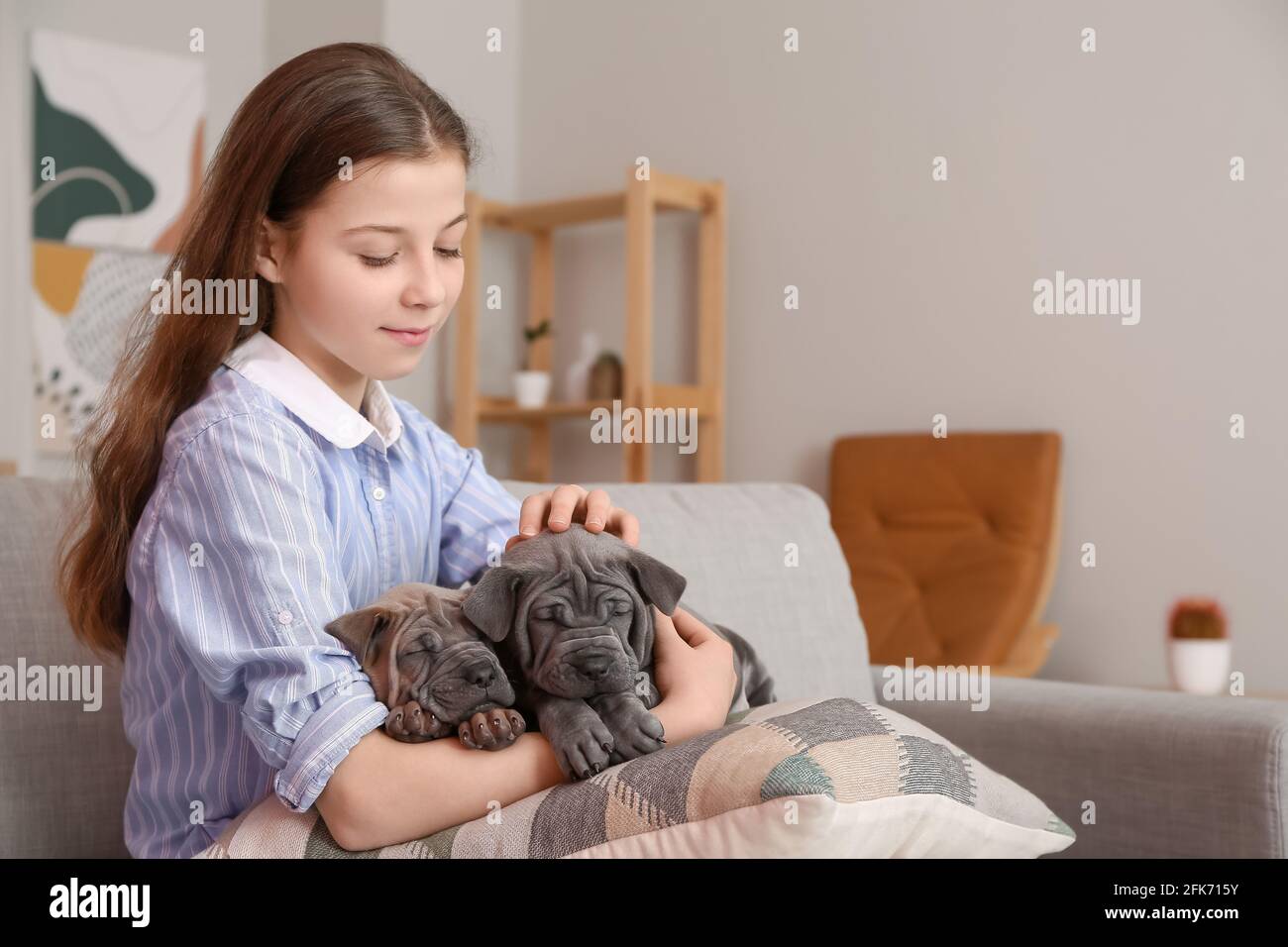 Cute girl with puppies at home Stock Photo - Alamy