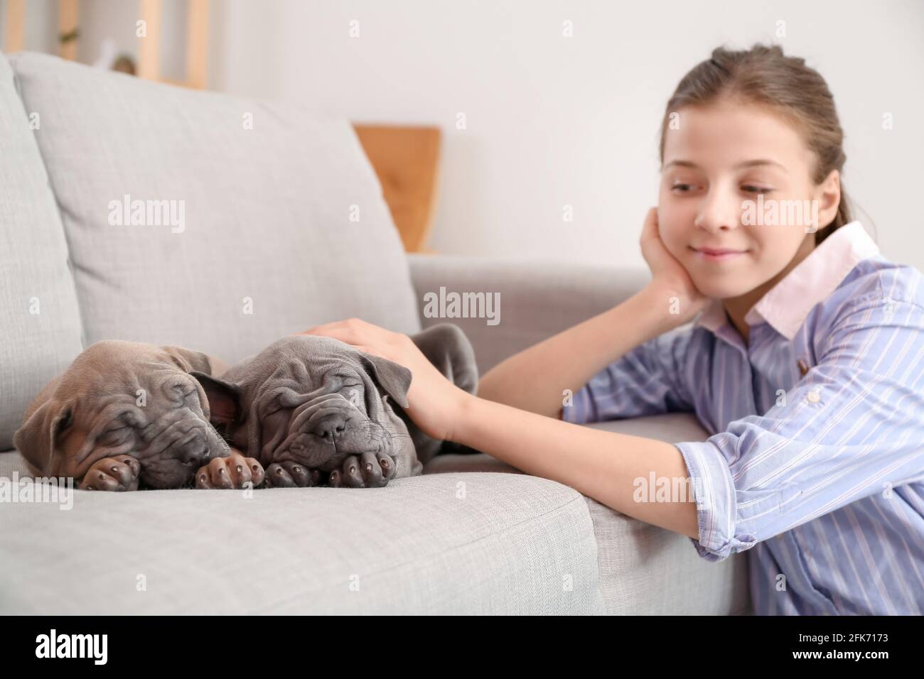 Cute girl with puppies at home Stock Photo - Alamy