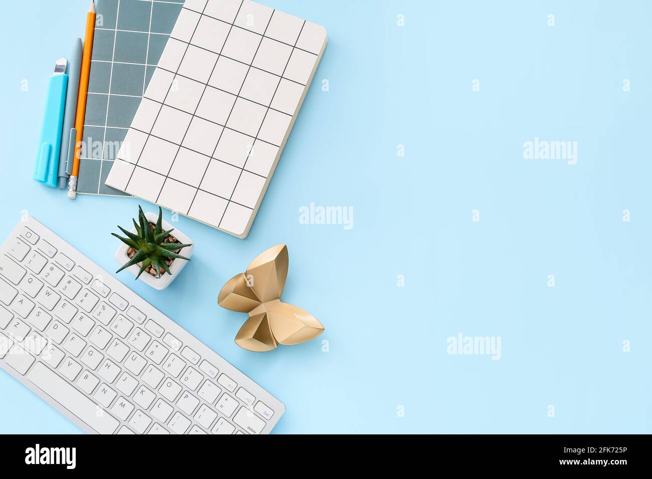 Composition with computer keyboard, houseplant and stationery on color ...