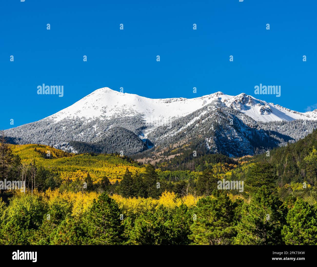 Snow covered mountains above fall foliage Stock Photo - Alamy
